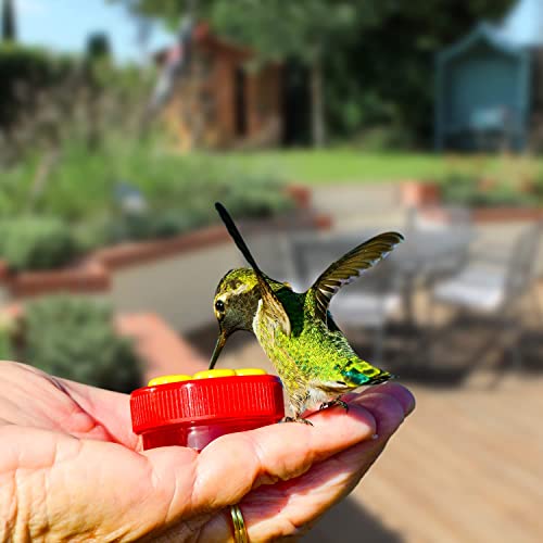 Hand Hummingbird Feeder, 4Pcs Mini Flower Handheld Hummingbird Feeder with 4Pcs Cleaning Brush, Window Humming Wild Bird Feeders for Outdoor Supplies