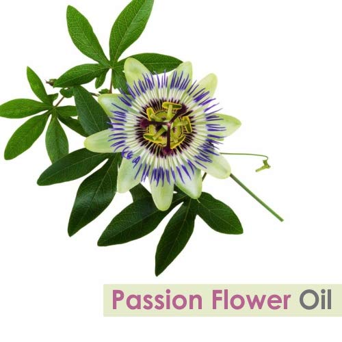 Crysalis Passion Flower (Passiflora) Oil - 0.51 Fl Oz (15ml)