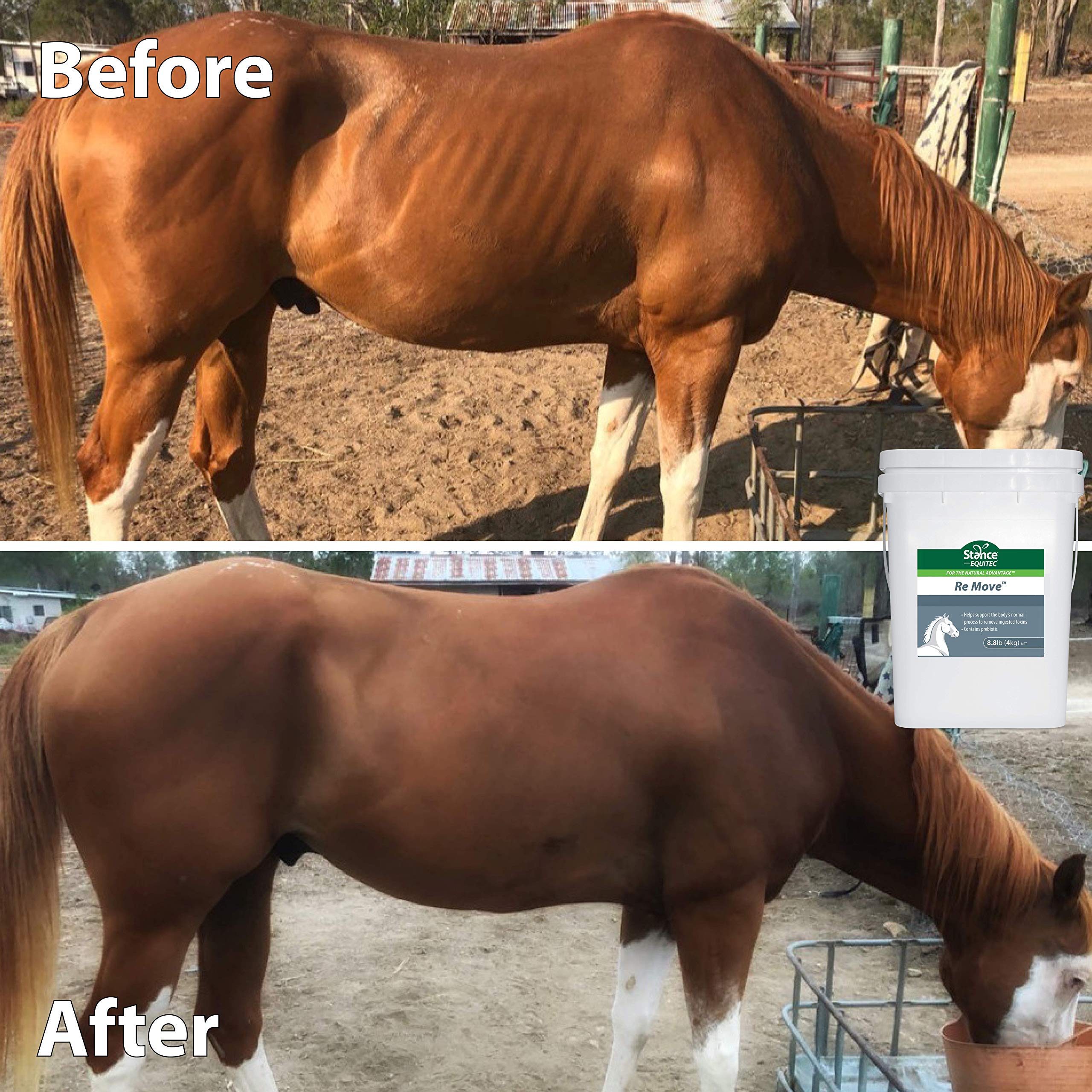 Stance Equitec Re Move - Horse Supplements That Support The Body's Normal Process to Remove Ingested Toxins, Contains Probiotics - 8.8 lb
