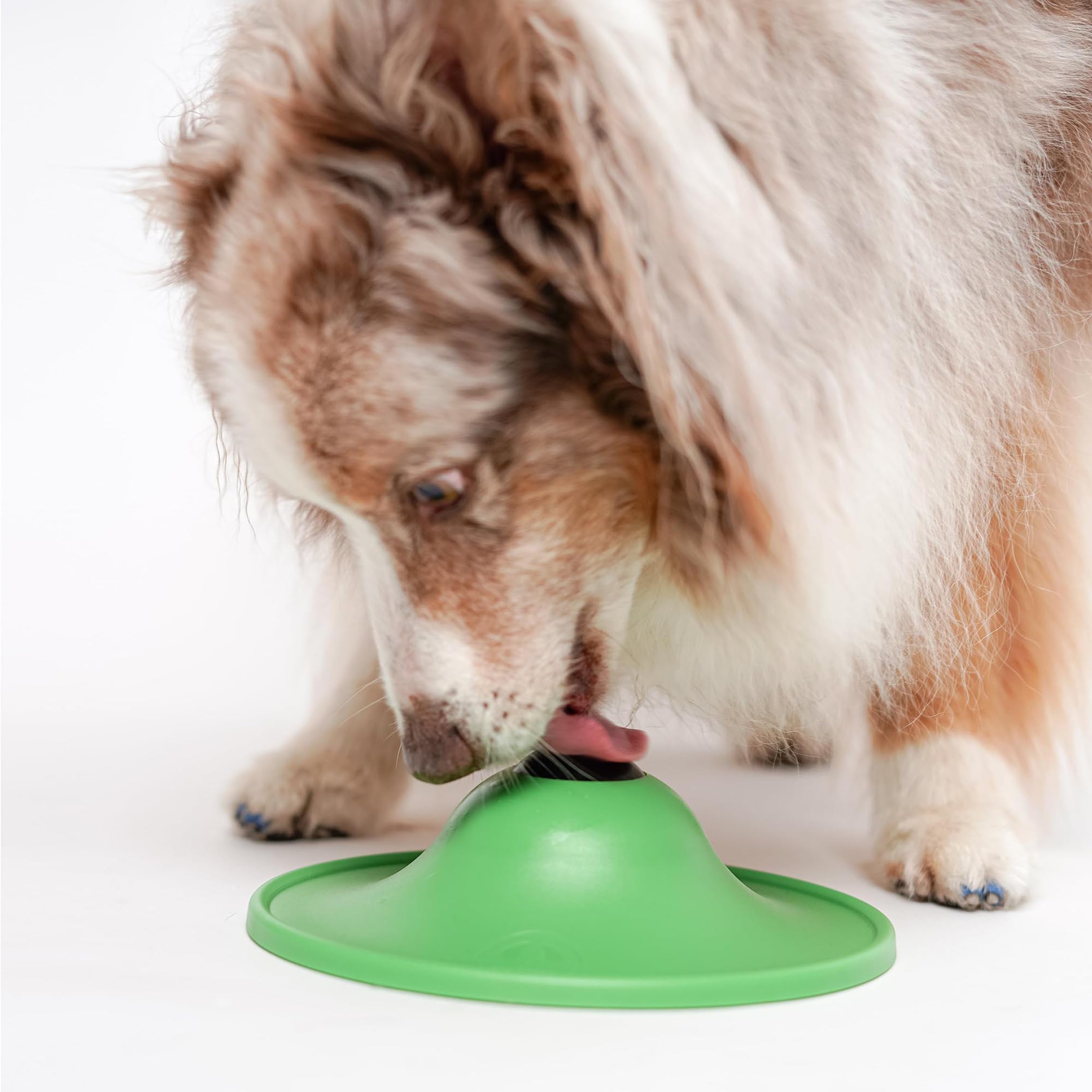 Stashios Soothing Saucer Calming Kit- Anxiety Relief, All Natural, Healthy, Stress Reduction Dogs