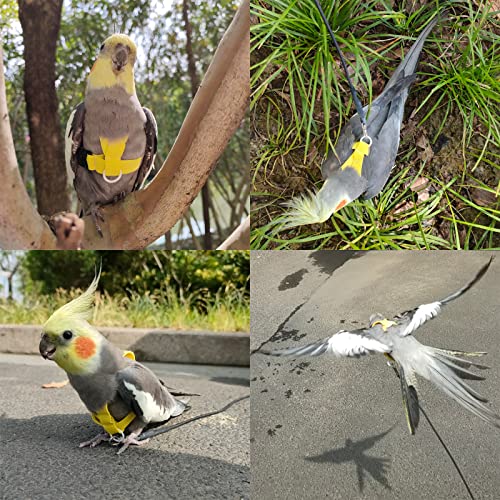 VANFAVORI Bird Harness with Buckle Clip and a Leash, Easy to Wear for Bird Parrots Cockatiel S Size Weight 85-105 Grams, Yellow
