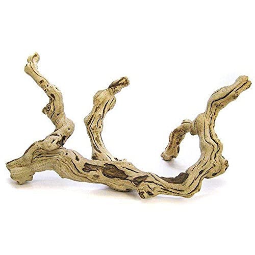 Zoo Med Premium Sand Blasted Grapevine for Reptiles, Birds, Rodents | Terrarium, Aviary, or Enclosure Decoration - Medium 12"