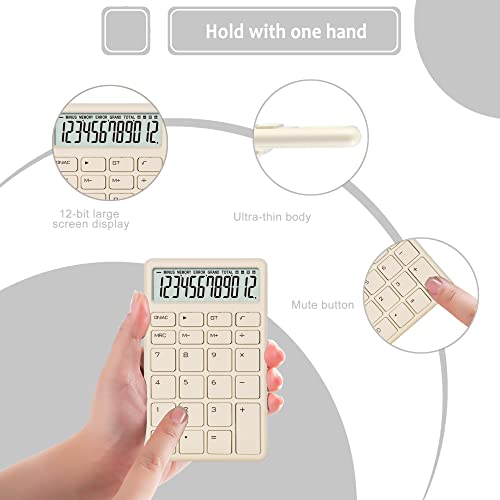 VEWINGL 12 Digit Calculator,Hold with one Hand,4 Function Calculator with Large LCD Display for Office,School,Home & Business Use,Automatic Sleep,5.4 * 3.3in