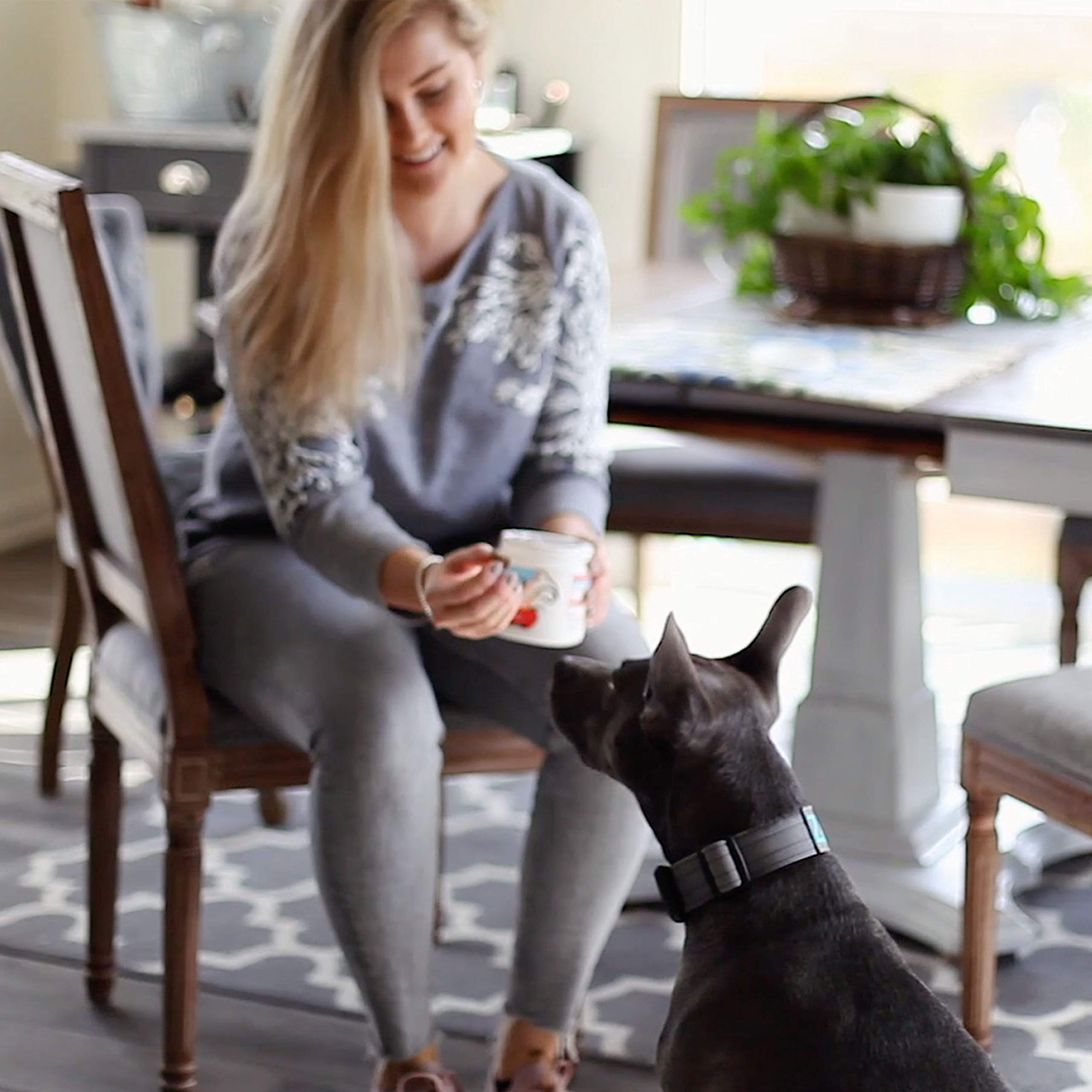 Petaxin Glucosamine for Dogs and Probiotics for Dogs