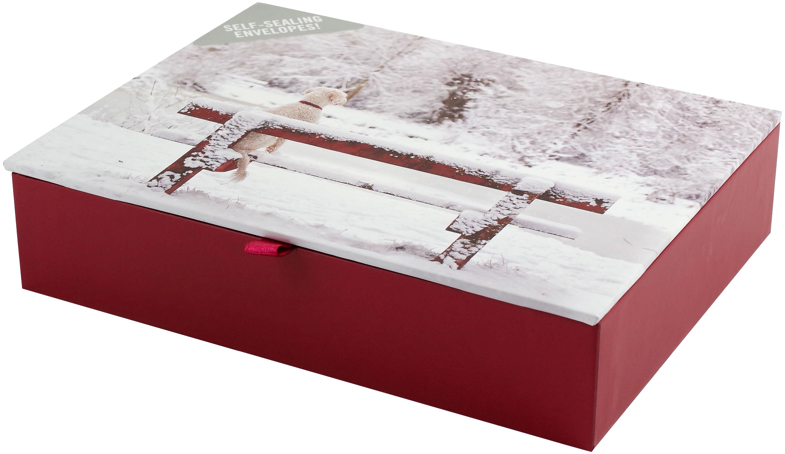 Dog on Snowy Bench Deluxe Boxed Holiday Cards (Christmas Cards, Greeting Cards)
