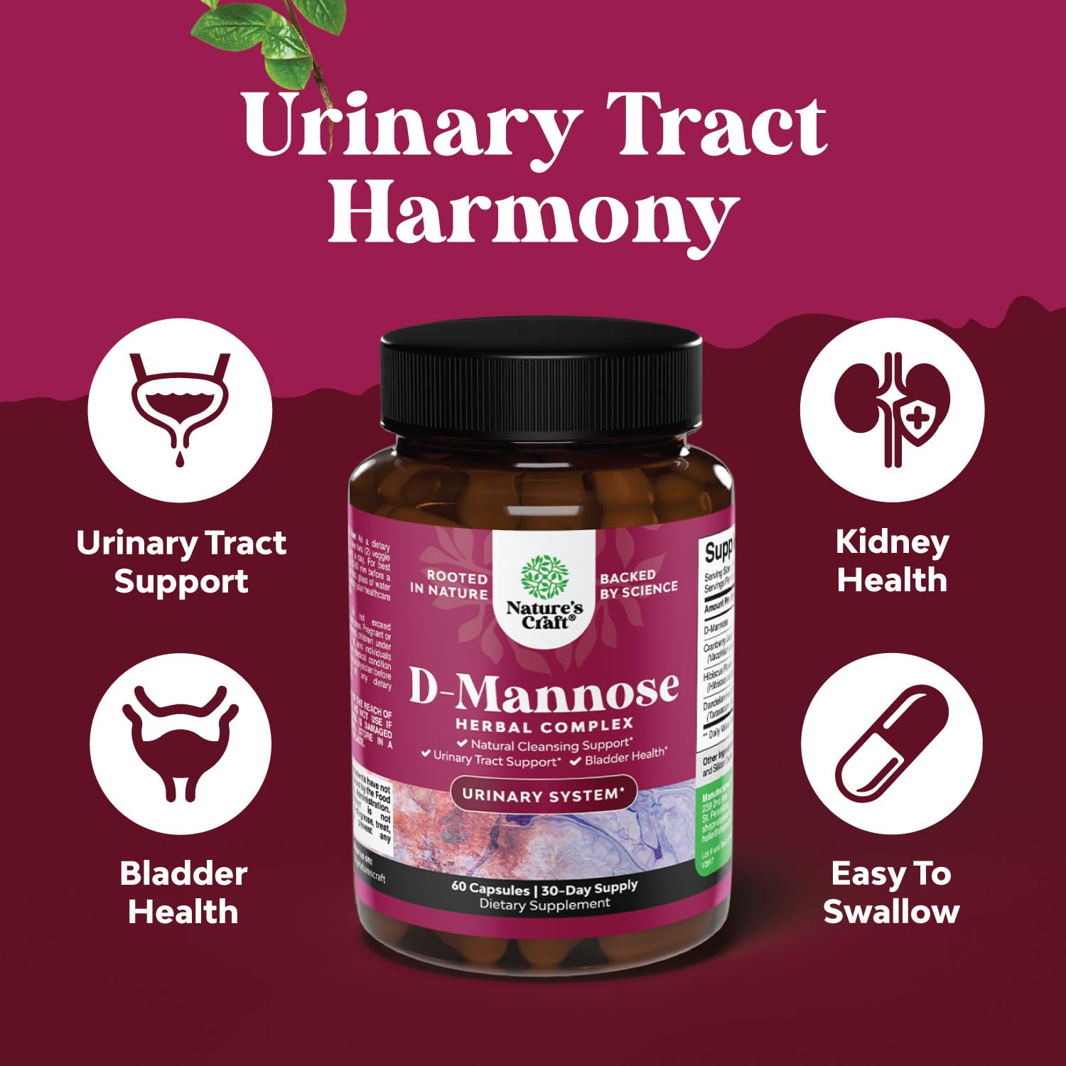 D Mannose with Cranberry Extract Capsules - D Mannose Capsules for Kidney Cleanse and Urinary Tract Health for Women - D-Mannose 1000mg Capsules Per Serving with Hibiscus & Dandelion (1 Month)