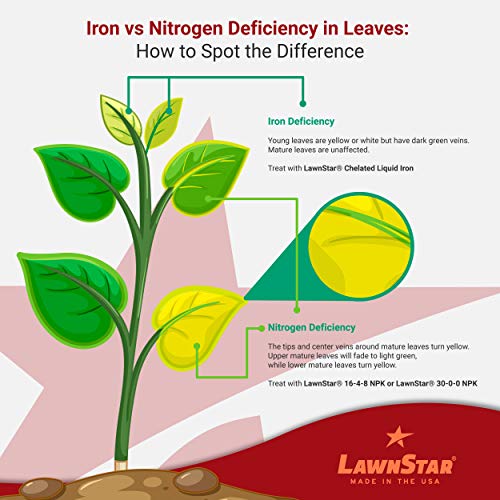 LawnStar Chelated Liquid Iron (32 OZ) for Plants - Multi-Purpose, Suitable for Lawn, Flowers, Shrubs, Trees - Treats Iron Deficiency, Root Damage & Color Distortion β EDTA-Free, American Made
