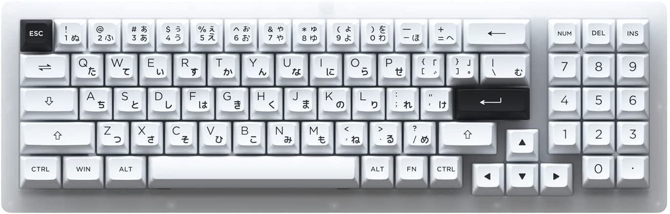 EPOMAKER AKKO ACR98 MINI 78-Key Wired Hotswap Mechanical Gaming Keyboard with Acrylic Case & RGB Backlight, Double-Shot PBT Keycaps, NKRO Programmable for Gamers/Mac/Win (Black-on-White)