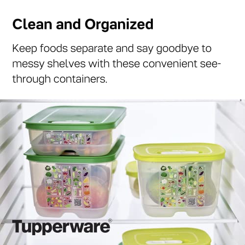 Tupperware Brand FridgeSmart Starter Set - 4 Containers to Store & Extend Shelf Life of Produce + Lids - Dishwasher Safe & BPA Free