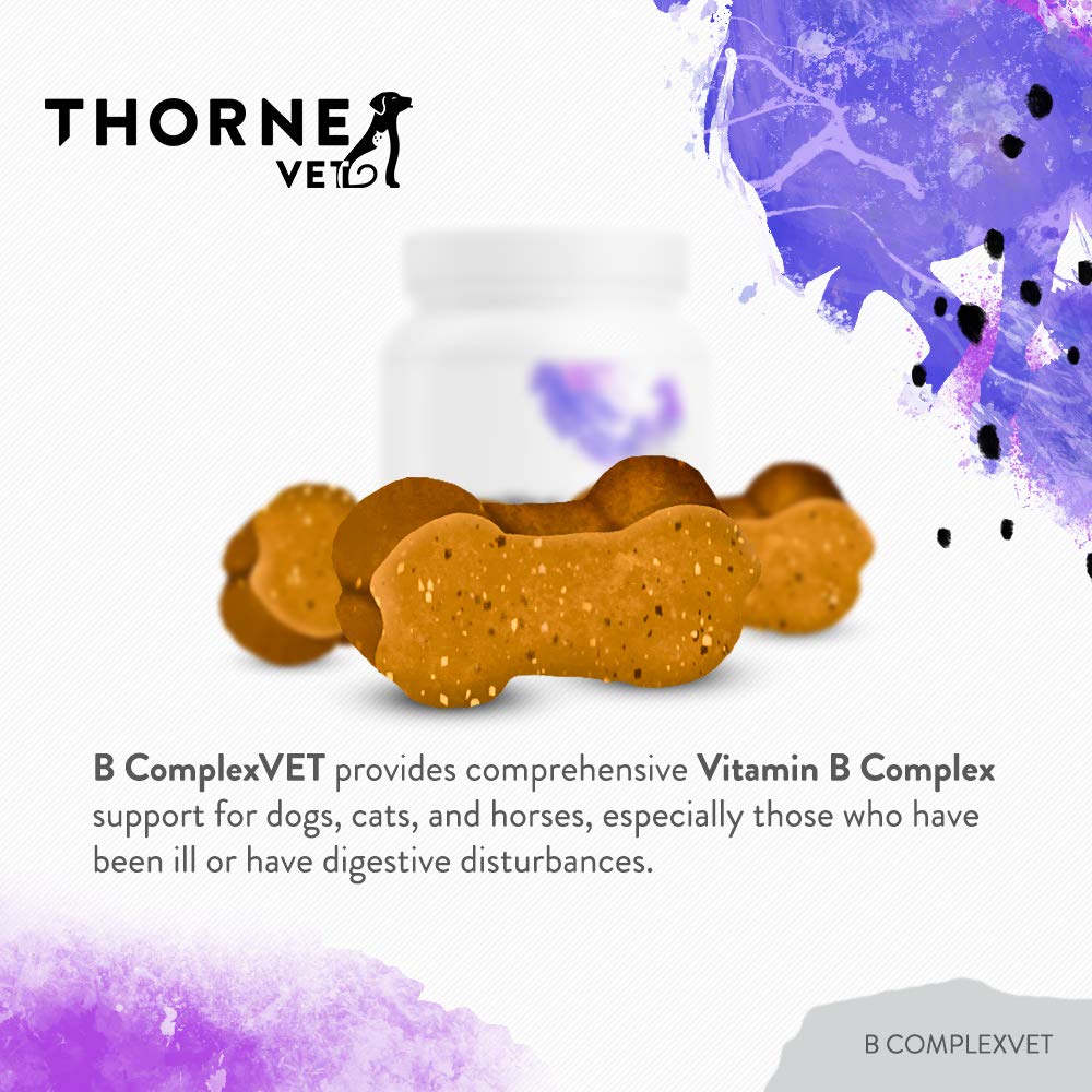 ThorneVET B ComplexVET β Vitamin B Complex Support for Dogs, Cats & Horses, 60 Soft Chews