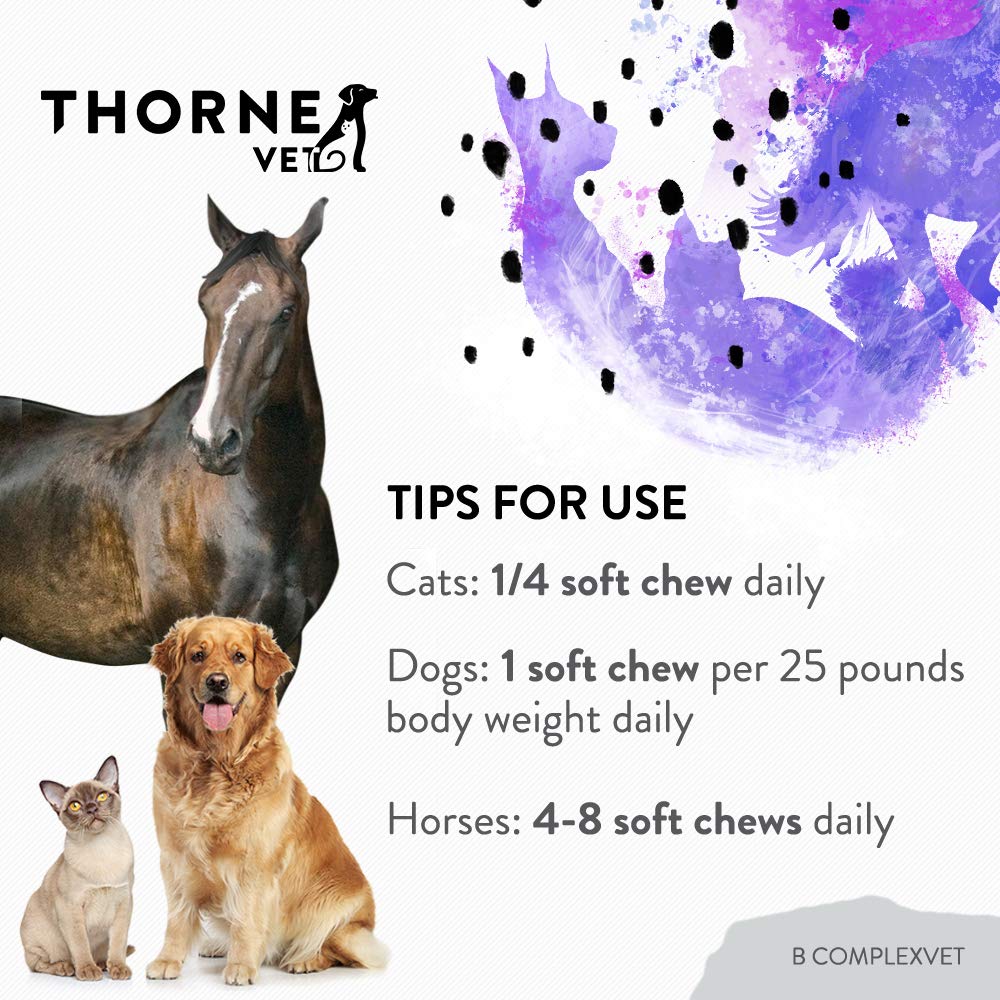 ThorneVET B ComplexVET β Vitamin B Complex Support for Dogs, Cats & Horses, 60 Soft Chews