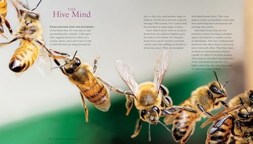 QueenSpotting: Meet the Remarkable Queen Bee and Discover the Drama at the Heart of the Hive; Includes 48 Queenspotting Challenges