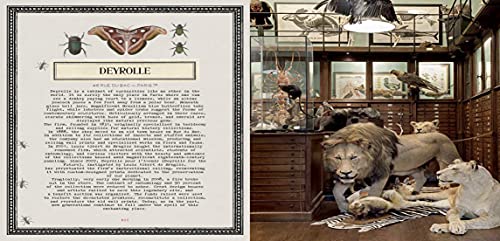 Timeless Paris: Ateliers Emporiums Savoir Faire
