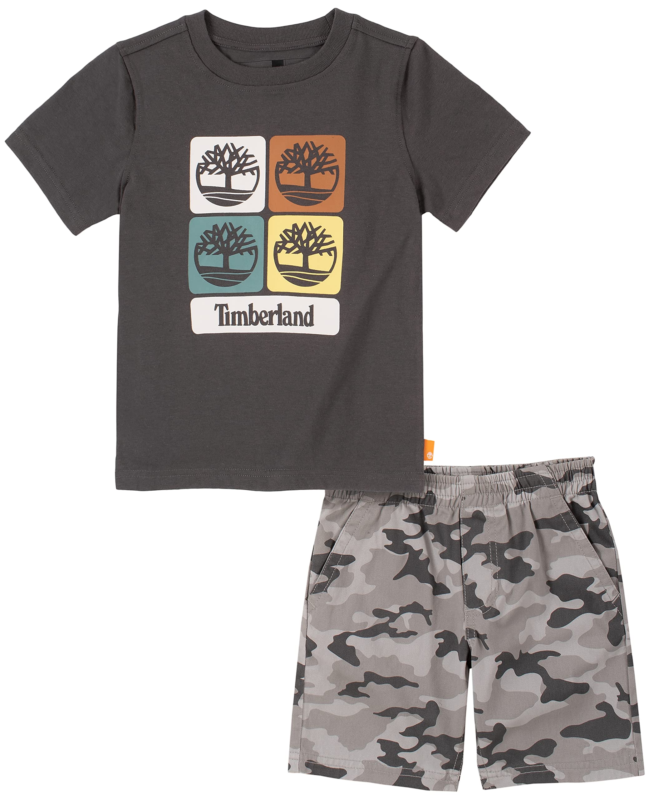 Timberland baby boys 2 Pieces Tee Shorts Set, Wolf Grey, 24M US