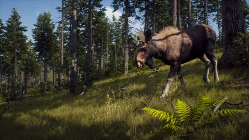 Way of The Hunter for PlayStation 5