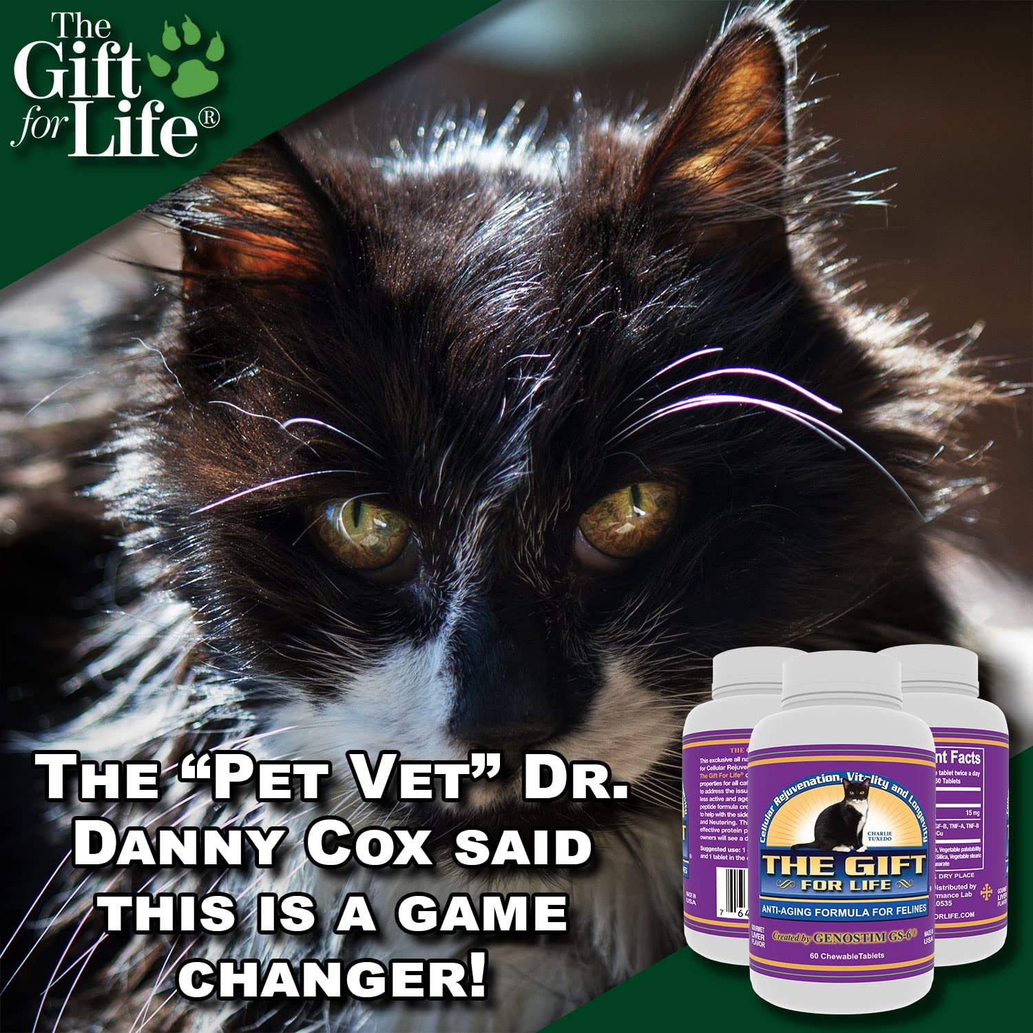 The Gift for Life Feline: Prrr-fect Wellness - Your Pet's Fountain of Youth!