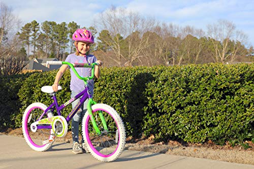 Dynacraft 20" Magna Girls Rule Bike