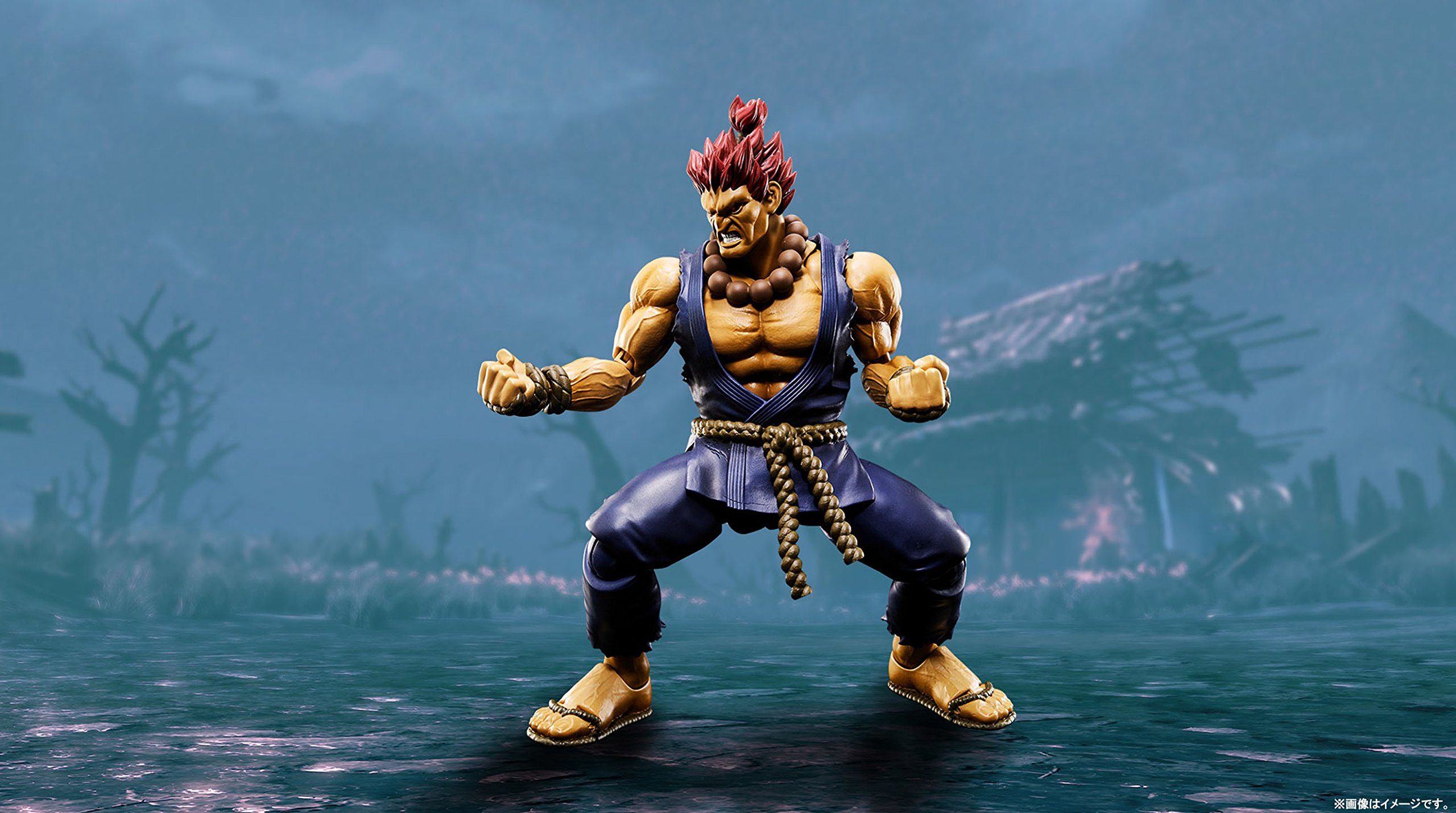 TAMASHII NATIONS Bandai S.H. Figuarts Akuma Street Fighter Action Figure