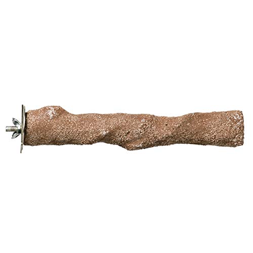 Prevue Pet Products Pacific Perch Beach Branch Large 1012,Assorted