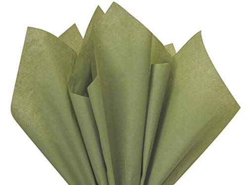 Tapestry Green Tissue Paper Squares, Bulk 24 Sheets, Premium Gift Wrap and Art Supplies for Birthdays, Holidays, or Presents by Feronia packaging, Large 20 Inch x 30 Inch