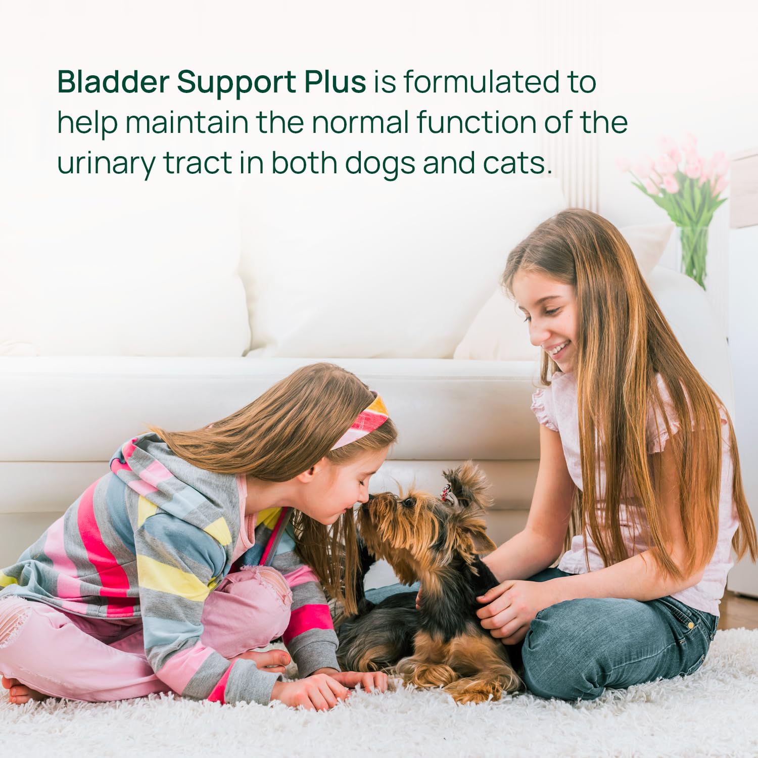 pawTree Bladder Support Plus for Dogs and Cats - Bladder & Urinary Tract Wellness Supplement - with D-Mannose, Cranberry, Glucosamine and Marshmallow Root to Support Bladder Health (Small/Medium)