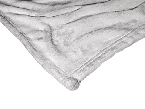 Northwest DC League of Super-Pets Silk Touch Throw Blanket, Unite, 50" x 60"