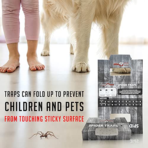 Spider Traps for Inside Your Home (16 Traps) - Spider Catcher Insect Traps Indoor - Spider Traps Indoor Bug Traps Sticky Traps for Spiders - Pre Baited Ultra Sticky Insect Glue Traps - Trap a Pest
