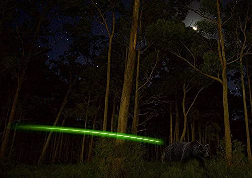 DEEPOWER Crossbow Lighted Nock with ON/Off Switch 4 Pack with .285β/.297β/.300β/.305β Bushings LED Nock Universal Fit for Bolts (Green)