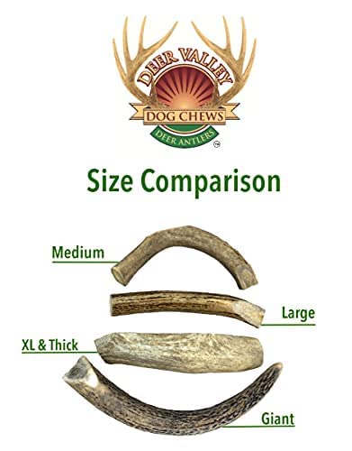 Deer Valley Dog Chews (Giant Single, 8-10 Inches) Sustainably-Sourced Deer Antler for Extra Large Dog Breeds - Durable Dog Chew Bone for Aggressive Chewers