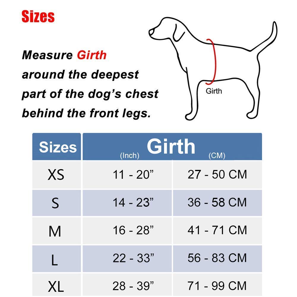 PoyPet No Pull Dog Harness, Reflective Comfortable Vest Harness with Front & Back 2 Leash Attachments and Easy Control Handle Adjustable Soft Padded Pet Vest for Small to Large Dogs (Purple,M)