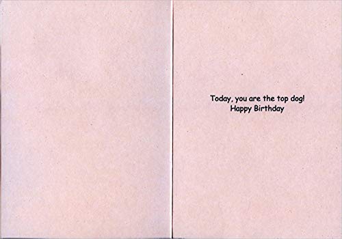 Tracks Publishing Ltd Beagle Puppy Looking at Birthday Cake Funny Dog Birthday Card