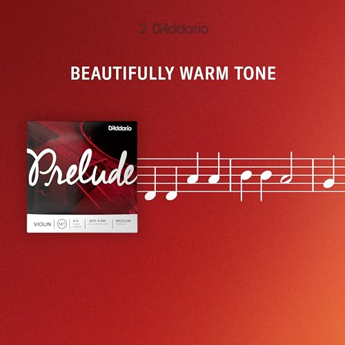 D'Addario Prelude Violin String Set, 4/4 Scale, Medium Tension – J810 4/4M - Solid Steel Core, Warm Tone, Economical and Durable – Educator’s Choice for Student Strings – 1 Set