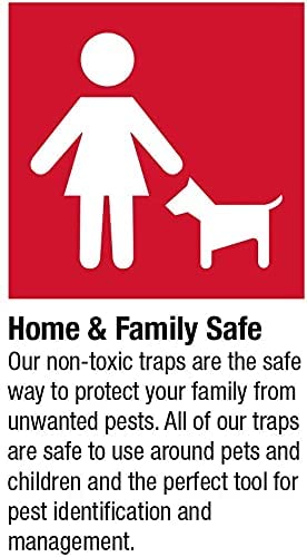 Hide N' Seal Easy Set Mouse Trap by Catchmaster - 2 Count, Ready to Use Indoors & Outdoors. Rodent Rat Heavy Gauge Trap Conceal Plastic Clean Sanitary Simple Non-Toxic No-Touch Disposal
