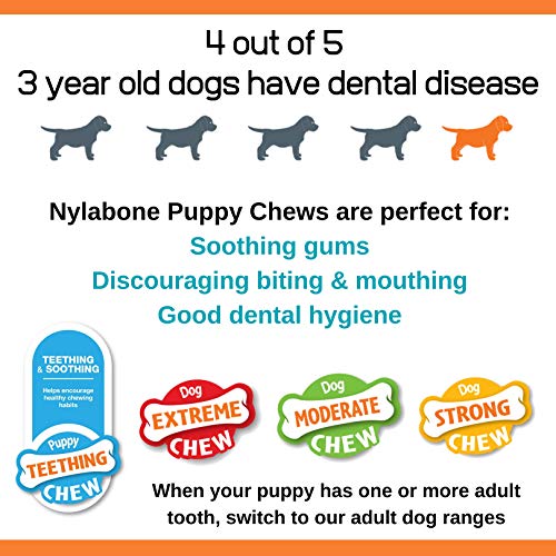 Nylabone Puppy Chew Gentle Chewing Puppy Antler Alternative Chicken Flavored Dog Chew Toy, Petite