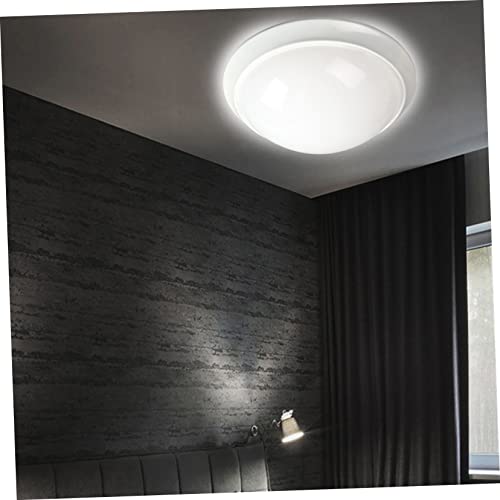 ORFOFE 5pcs Ceiling Lamp Shade Globe Ceiling Light Round Chandelier LED Lanterns Ceiling Lamp Lampshade Glass Floor Lamp Shade Alabaster Glass Shade Ceiling Lamp Shades Ceiling Lampshades