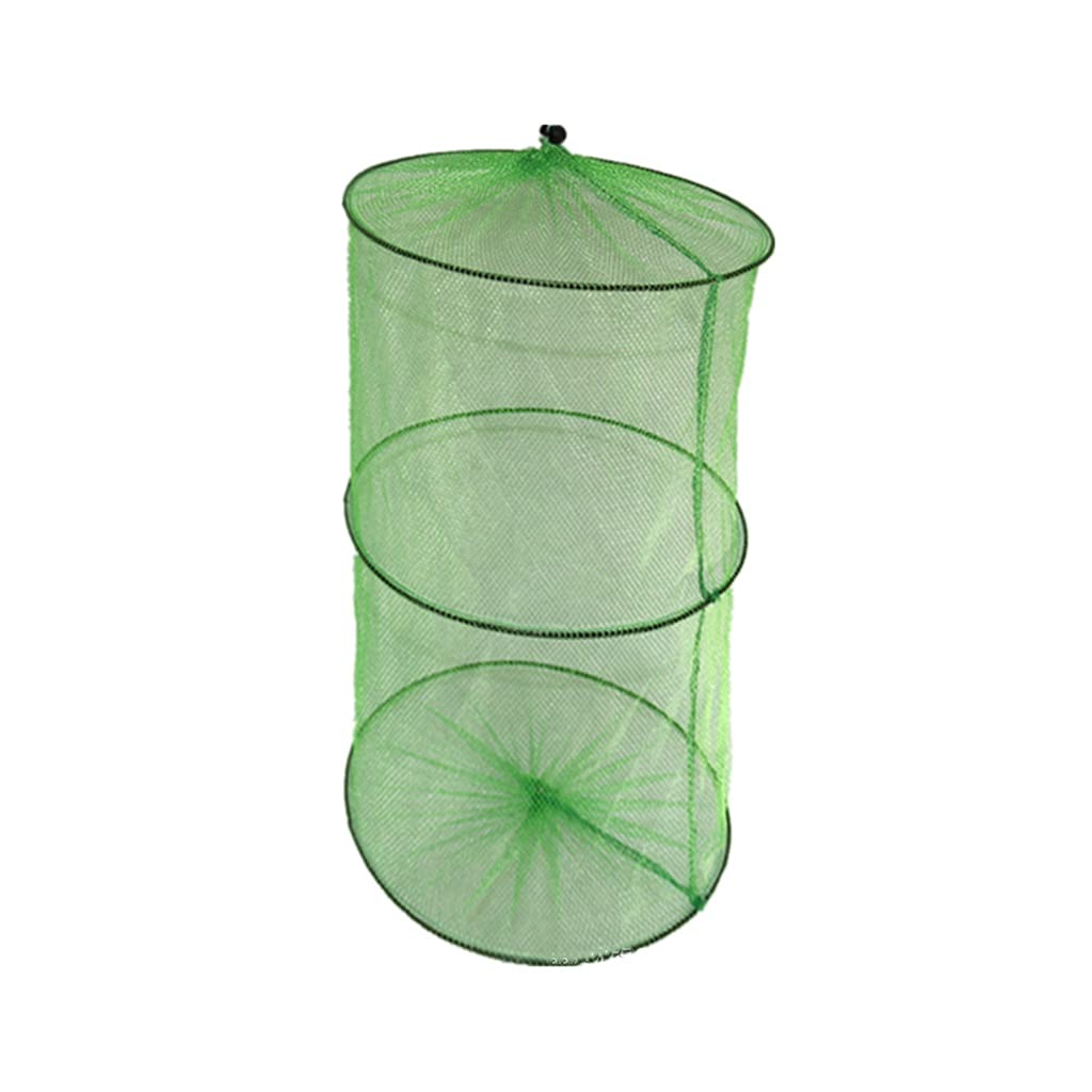 FZZDP 2 Layers Portable Fishing Net Fish Shrimp Mesh Cage Cast Net Fishing Trap Network Foldable Fishing Net Tackle 50 X 30cm