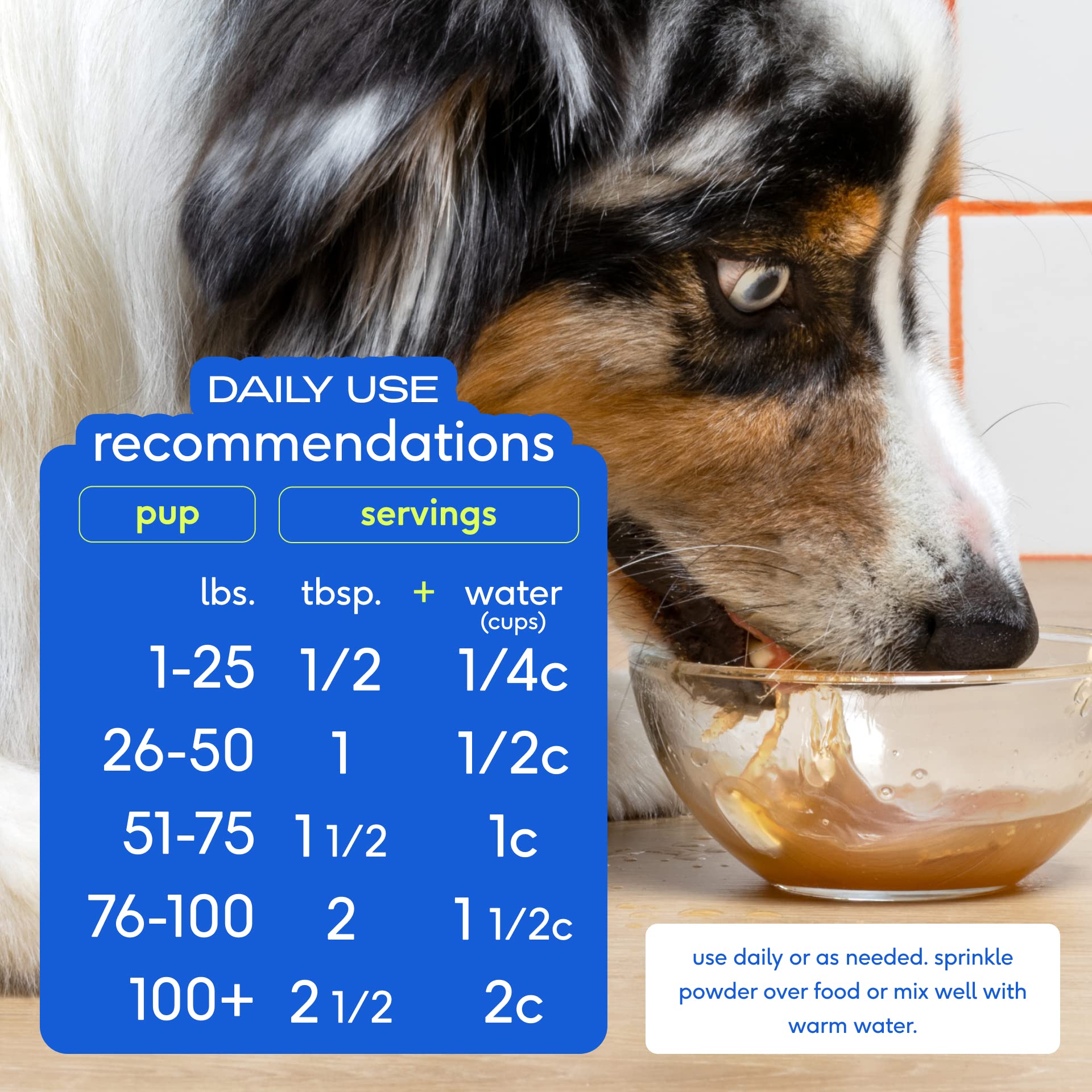 Native Pet Beef Bone Broth for Dogs (9.5 oz) & Yak Chews for Dogs (3 Large Chews)