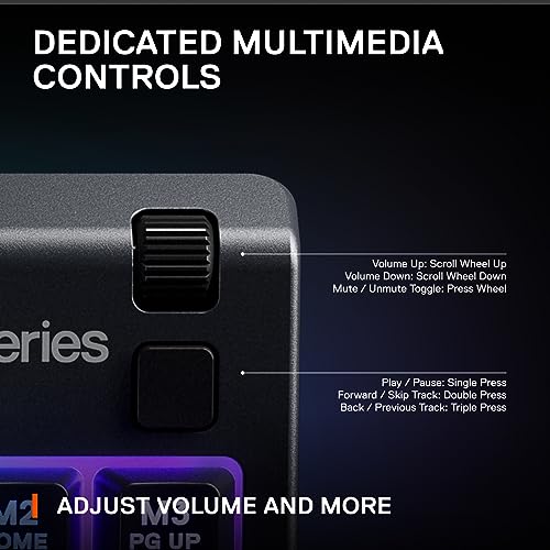 SteelSeries Apex 3 TKL RGB Gaming Keyboard β Tenkeyless Compact Form Factor - 8-Zone RGB Illumination β IP32 Water & Dust Resistant β Whisper Quiet Gaming Switch β Gaming Grade Anti-Ghosting,Black