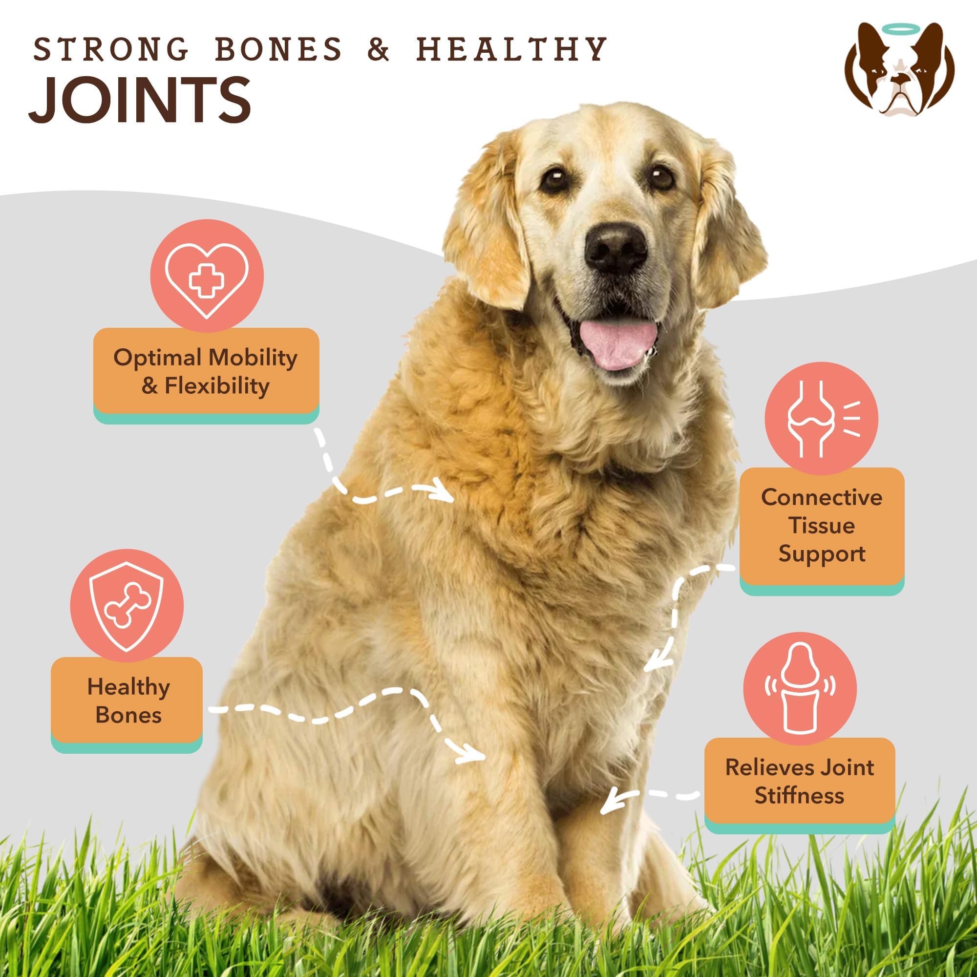 Natural Dog Company 32 oz. Bundle with Wild Alaskan Salmon Oil and Liquid Glucosamine for Dogs, Fish Oil Supplement, Joint and Hip Support