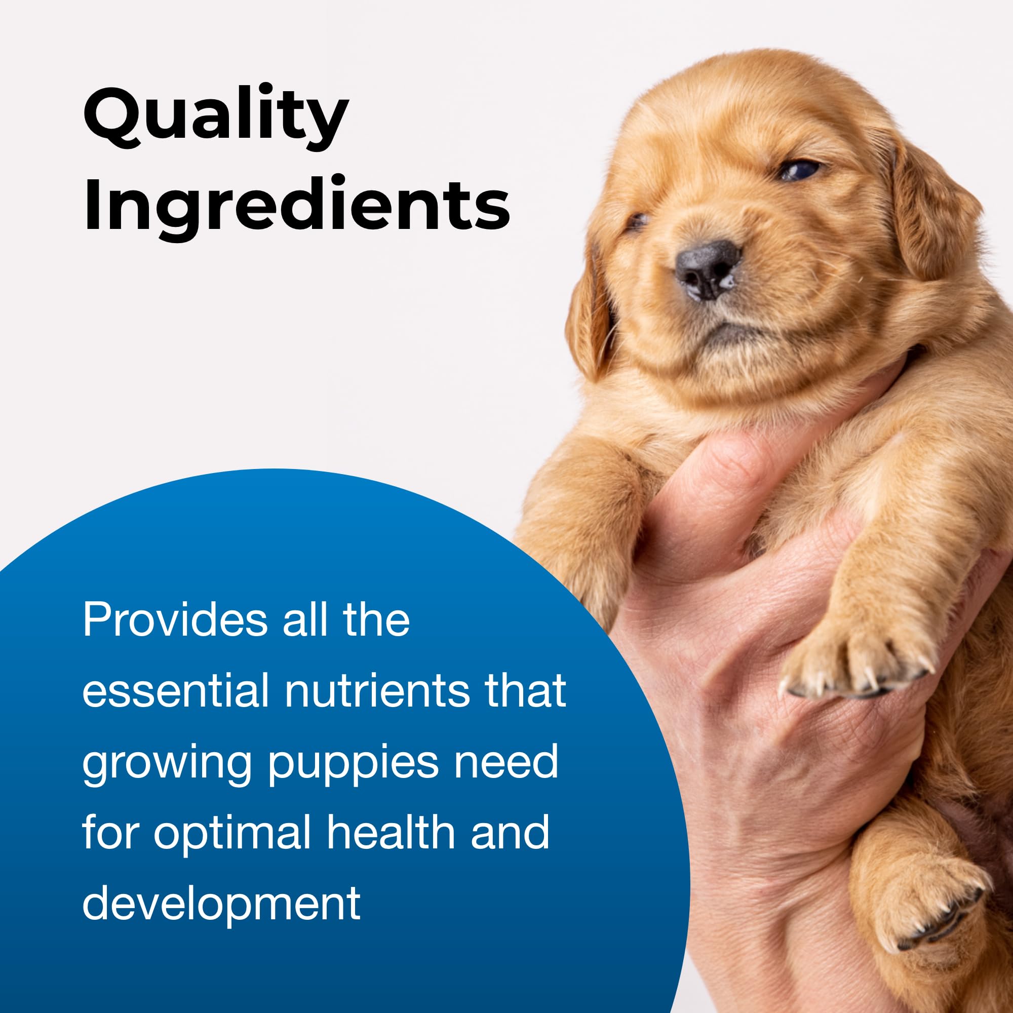 Pet-Ag Goat’s Milk Esbilac Powder - 12 oz, Pack of 4 - Powdered Puppy Formula with Prebiotics, Probiotics & Vitamins for Puppies Newborn to Six Weeks Old - For Sensitive Digestive Systems