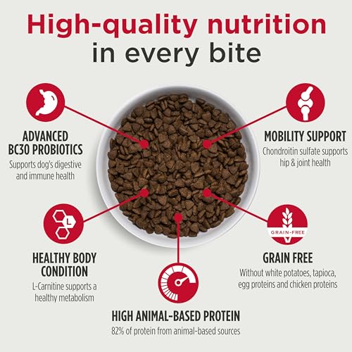 Nulo Freestyle All Breed Senior Dry Dog Food, Premium Grain-Free Dog Kibble with Healthy Digestive Aid BC30 Probiotic and Chonoitin Sulfate for Hip & Joint Support, 6 Pound (Pack of 1)