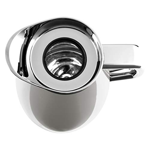 Emsa Plaza Flask Plastic ABS, 1 Litre, Silver