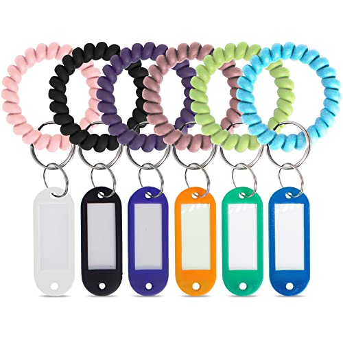 Hisuper 6pcs Spiral Keychain with Key Tags Key Ring Bracelet Spring Spiral Stretch Coil Wristband Key Chain for Sauna Gym Pool ID Badge and Outdoor Sports Car Multicolor