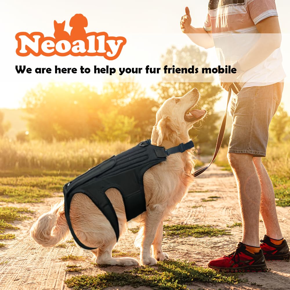 NeoAlly Dog Back Brace for Dogs Arthritis, IVDD, Spinal Surgical Recovery, and Back Disease Prevention (Extra Large)