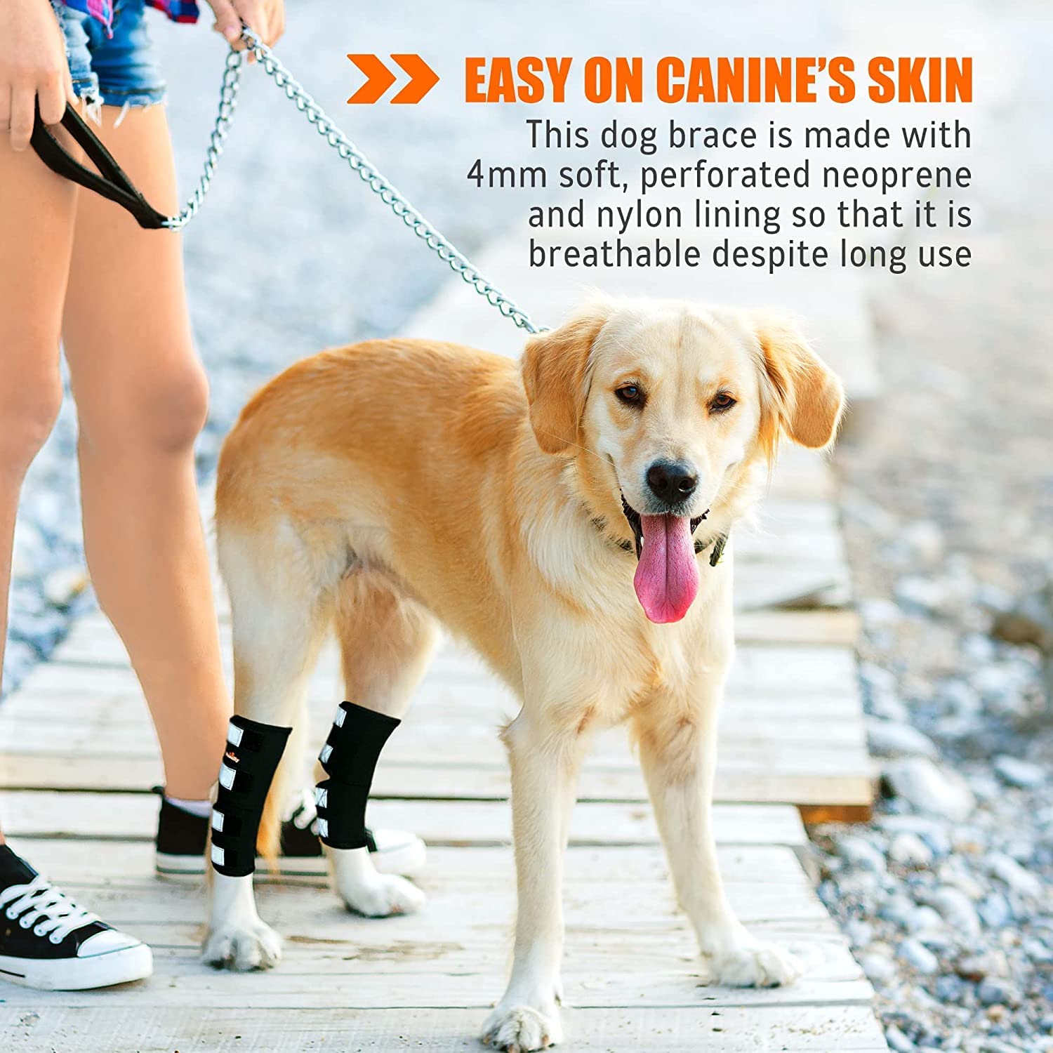 NeoAlly Pair Dog Rear Leg Brace Canine Rear Hock Joint Support with Safety Reflective Straps for Joint Injury and Sprain Protection, Wound Healing and Loss of Stability from Arthritis (M Pair)