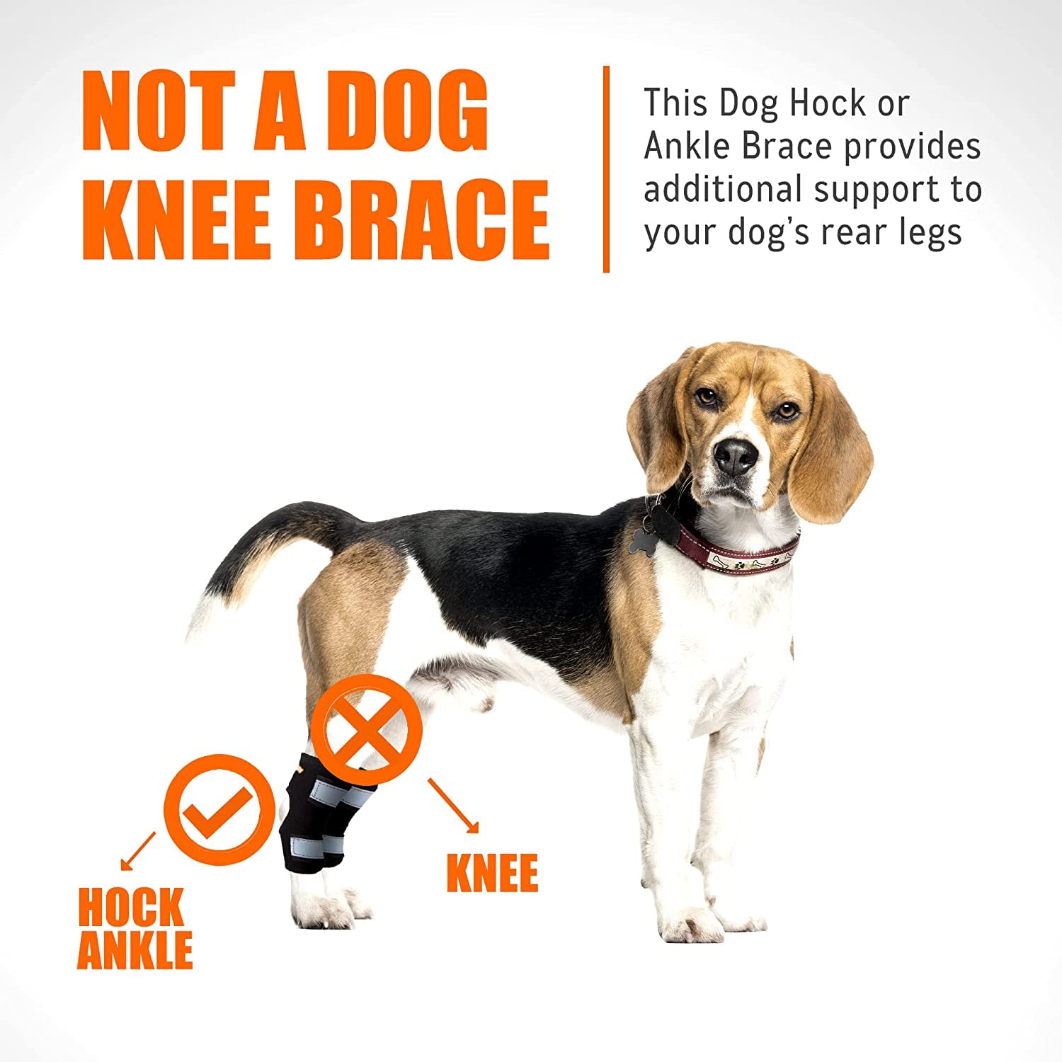 NeoAlly Super Supportive Dog Braces for Rear Leg and Hock Joint with Dual Metal Spring Strips Stabilize Canine hind Legs from Wound, Injury, Sprains, Arthritis (XL Pair)