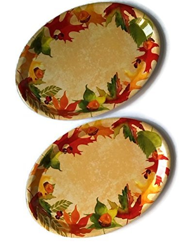 Fall Platter Bundle Thanksgiving Harvest Plastic Holiday Serving Plates Set 2