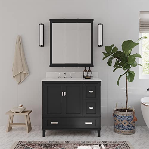 DHP Otum Bathroom 3 Door Mirrored Medicine Cabinet and Organizer, Surface Mount Wall Storage, Black