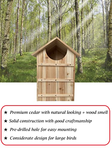 Sundia Screech Saw Whet Owl Kestrel Flicker Barn Large Big Bird Nesting Wooden Box Resident Habitant House (D100)