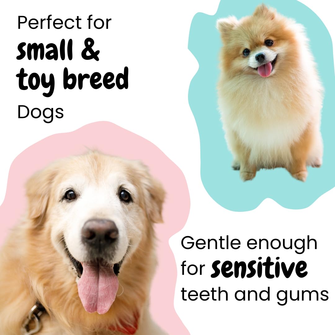 Otterly Pets 7-Piece Dog Toothbrush Set for Sensitive Teeth β 5 Double-Sided Silicone Brushes & 2 Soft Bristled Brushes for Gentle, Effective Cleaning